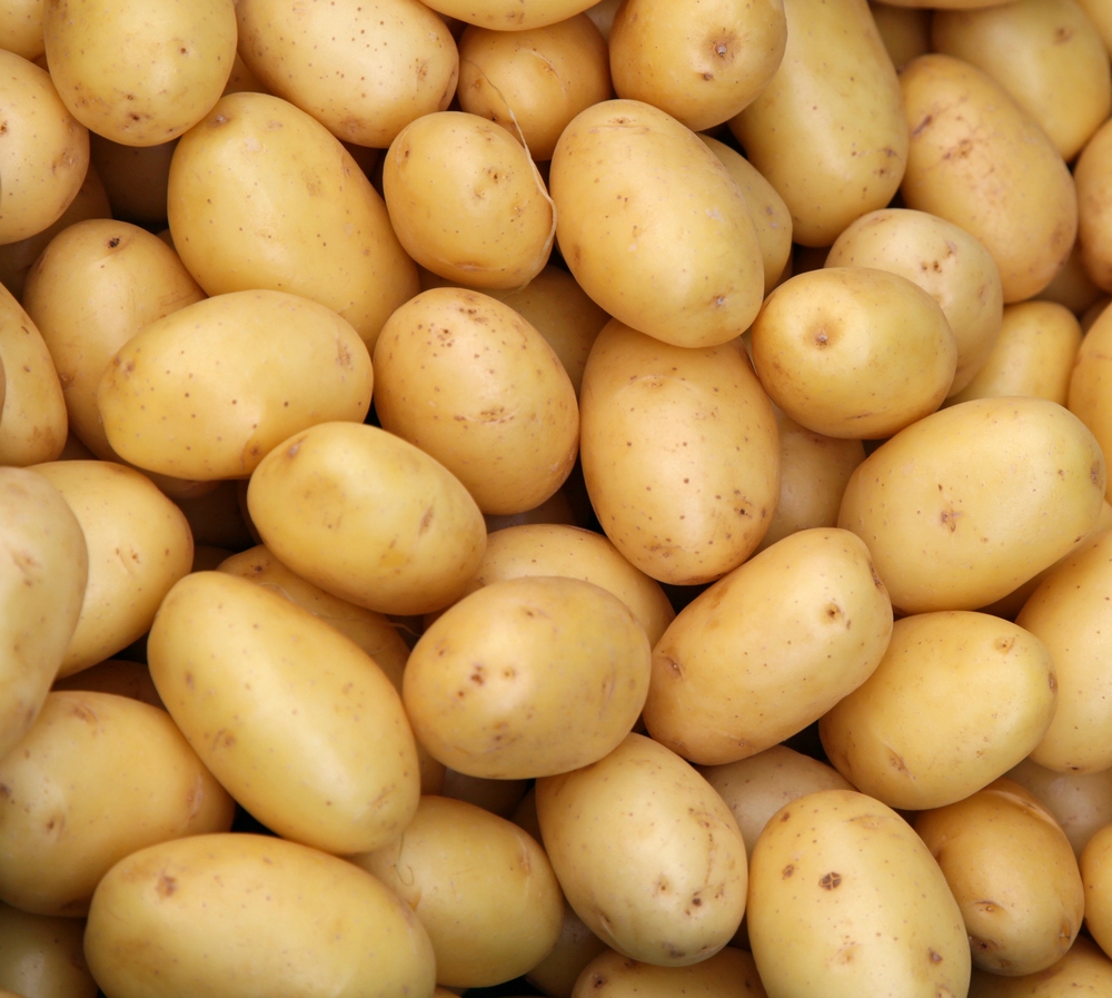 Are Potatoes Healthy For Kids? - NUNU (Nutrition and Nurture)